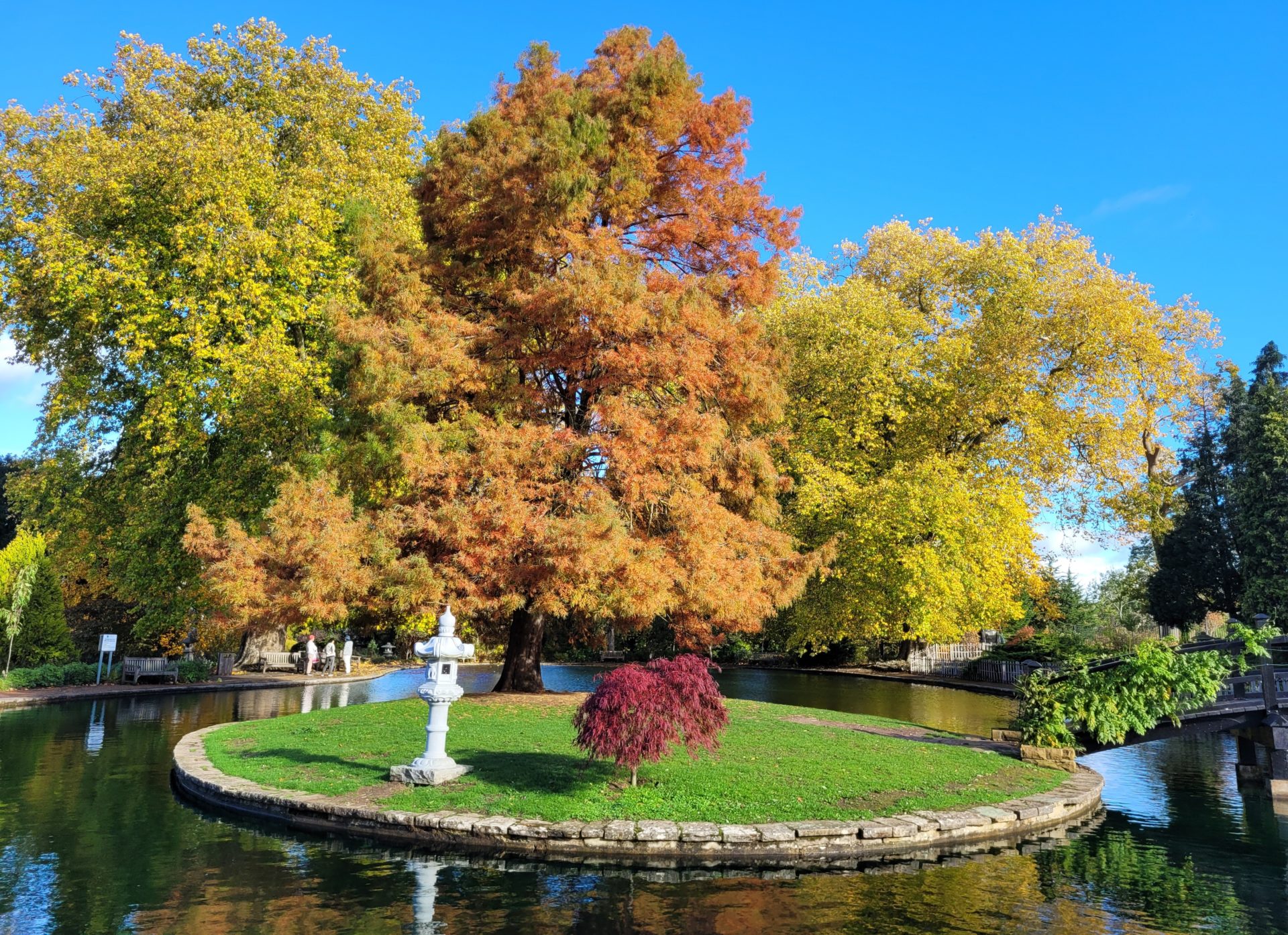 Autumn colours walk and wheel - Surrey Coalition of Disabled People