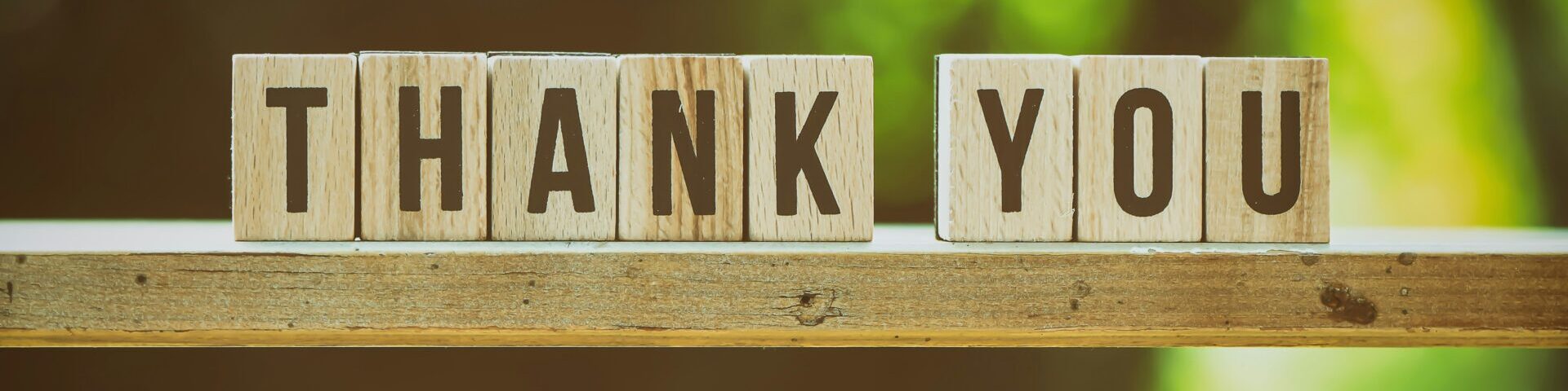 Thank you for submitting your form - Surrey Coalition of Disabled People